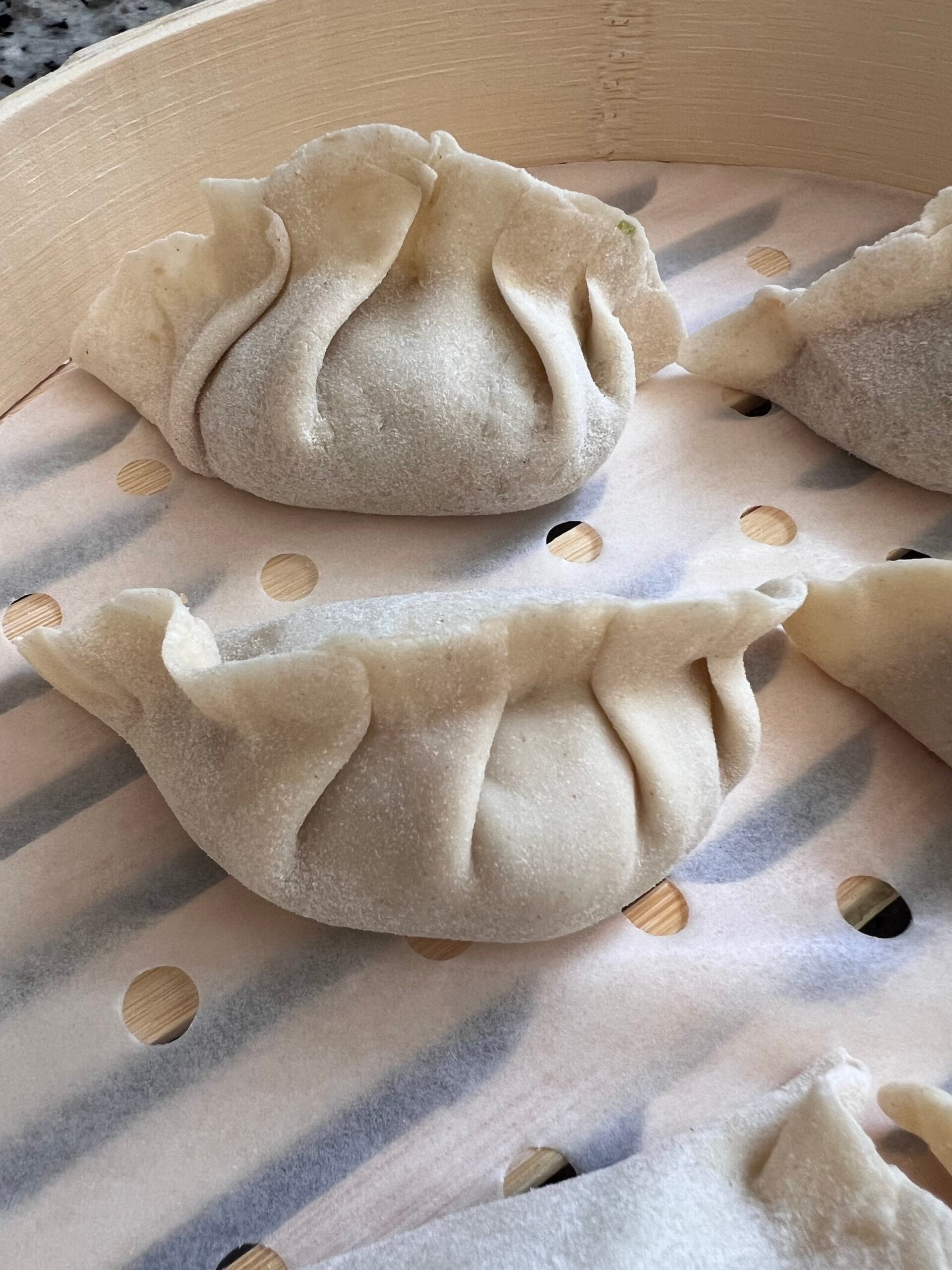 Chinese dumplings with chicken